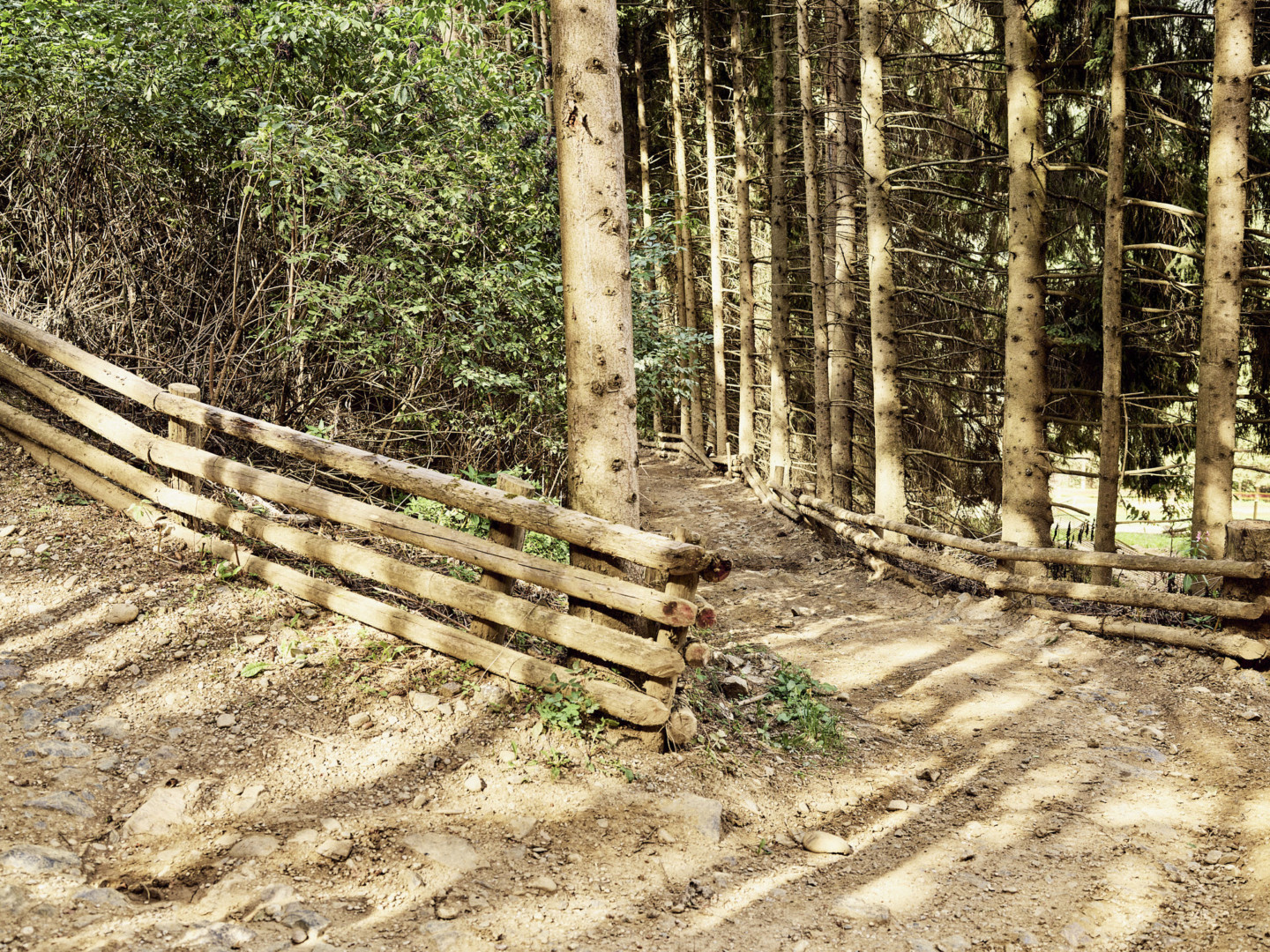 Driving Buggy Off-road Red Bull Ring