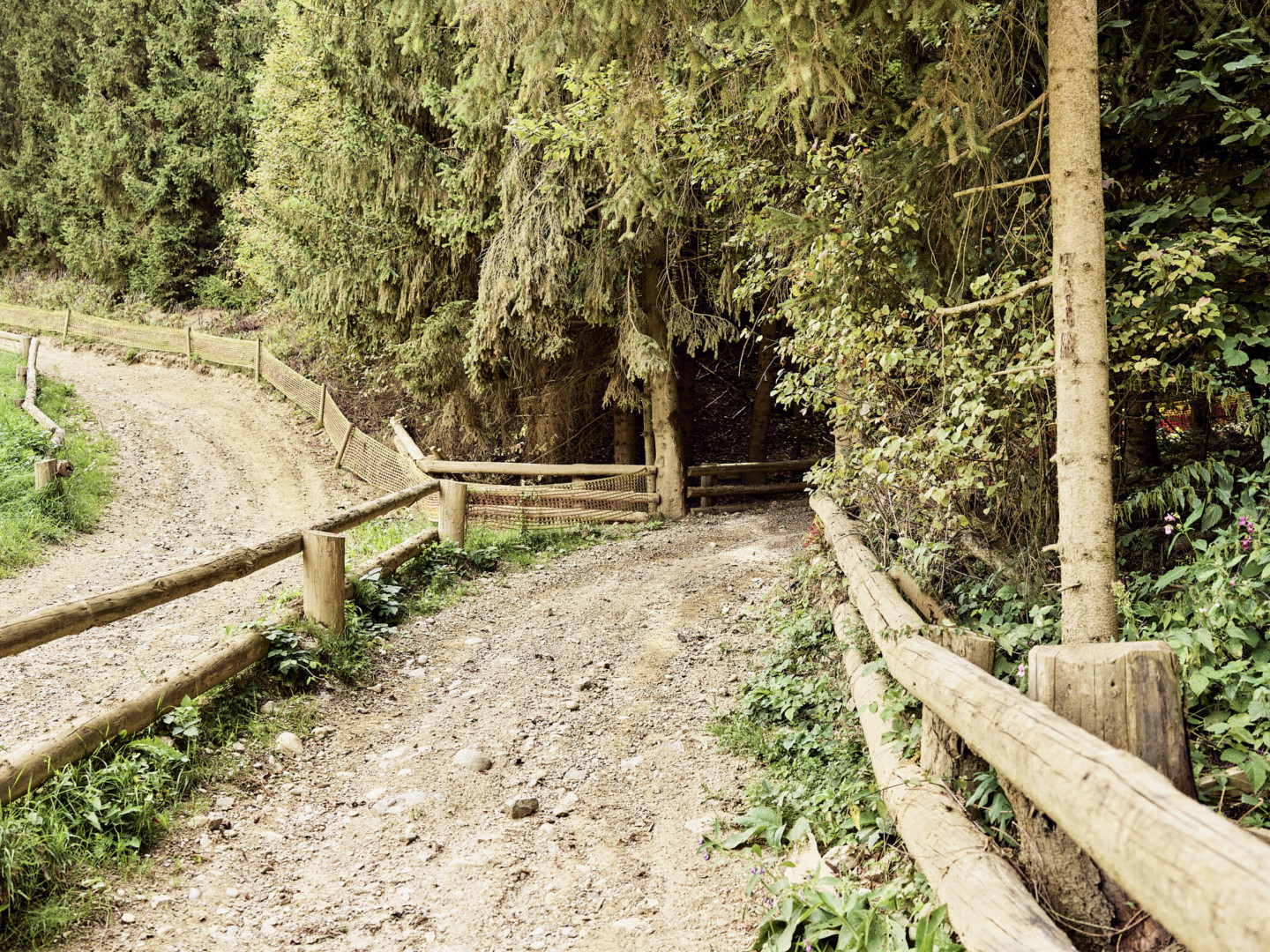 Driving Buggy Off-road Red Bull Ring
