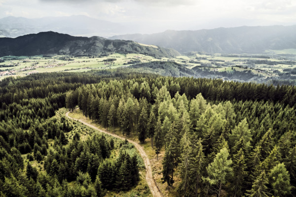 Austrian race track I Driving at the Red Bull Ring