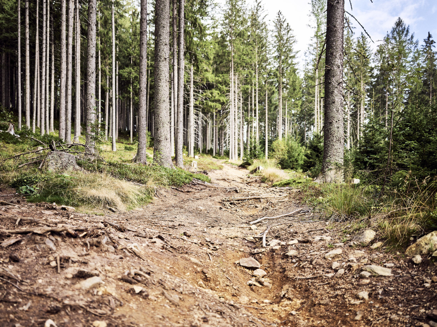 Driving Off-road Red Bull Ring